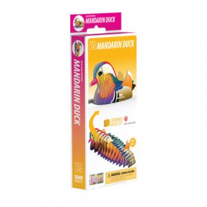 EUGY - Brainstorm Ltd