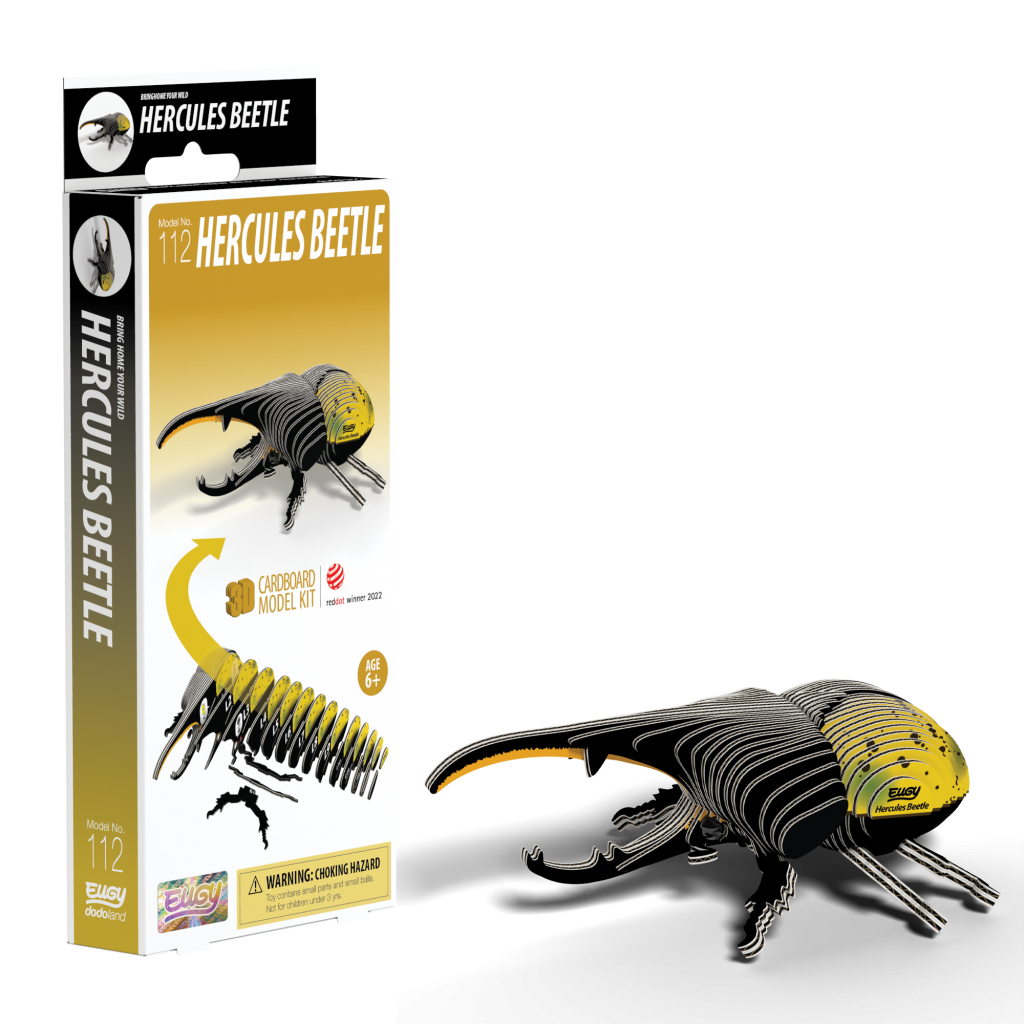 NEW EUGY Coming Soon - Brainstorm Ltd