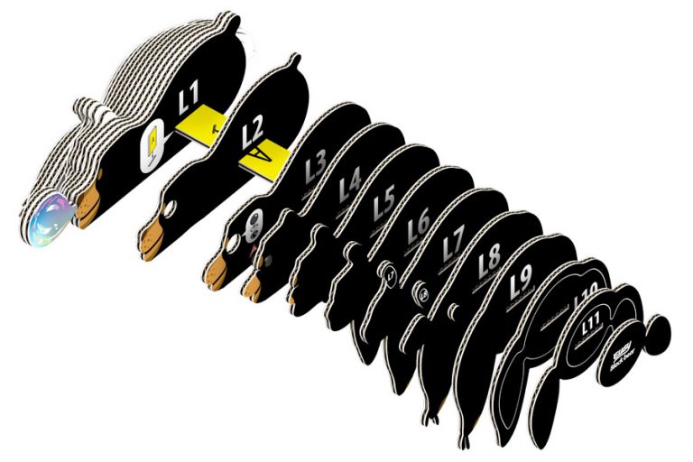 EUGY Black Bear - Brainstorm Ltd