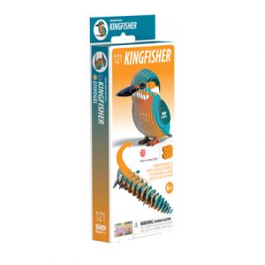 EUGY - Brainstorm Ltd